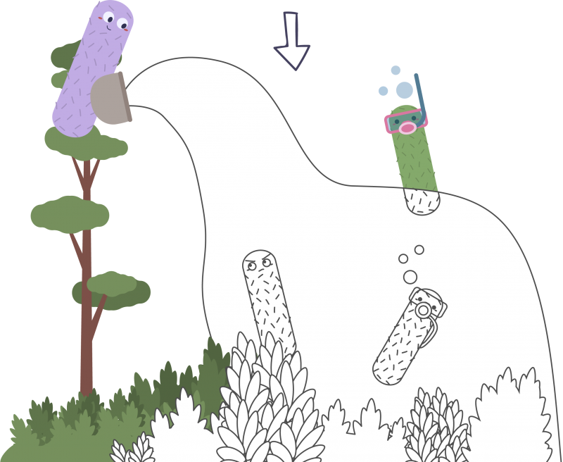 Bacterial Park – An educational activity for kids